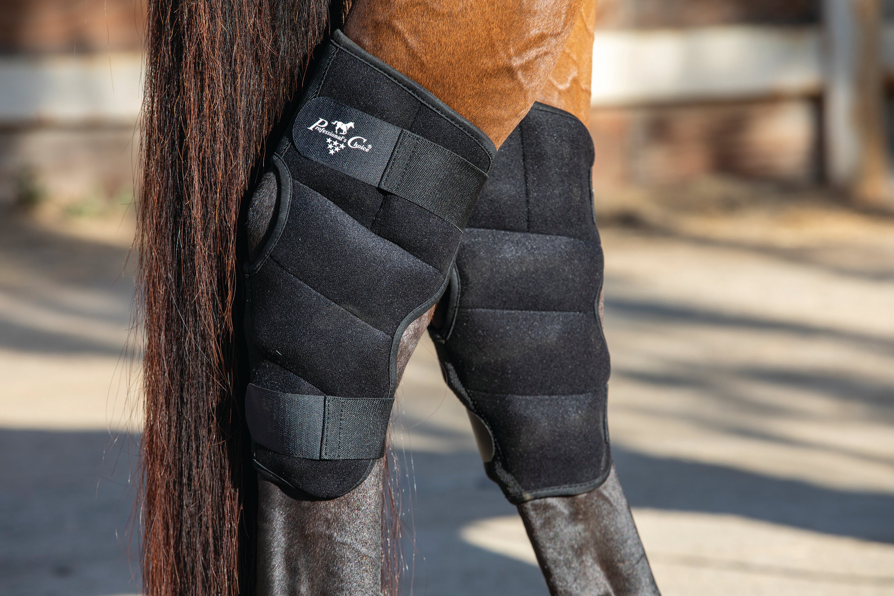 Professional's Choice Hock Ice Boots- PAIR – Horse Trailer Accessory ...